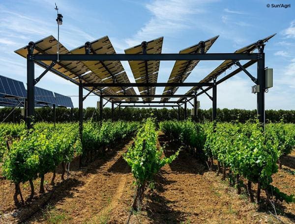 Agrivoltaics: AI-Driven Solar for Sustainable, High-Yield Smart Farming ...