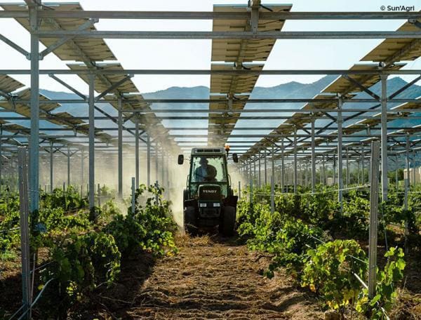 Agrivoltaics: AI-Driven Solar for Sustainable, High-Yield Smart Farming ...