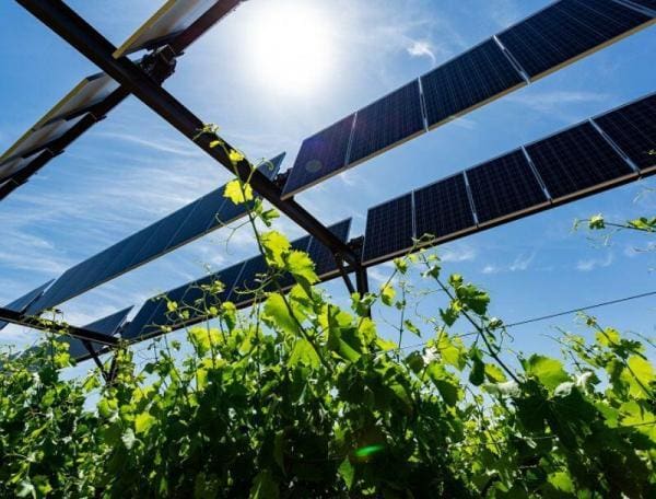 AI-Driven Agrivoltaic Project Development – NuWatt Energy